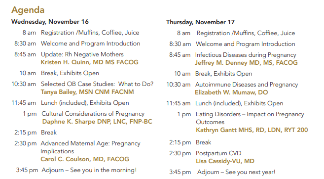 Registration Now Open for 40th Annual Perinatal Conference Gravidas at Risk