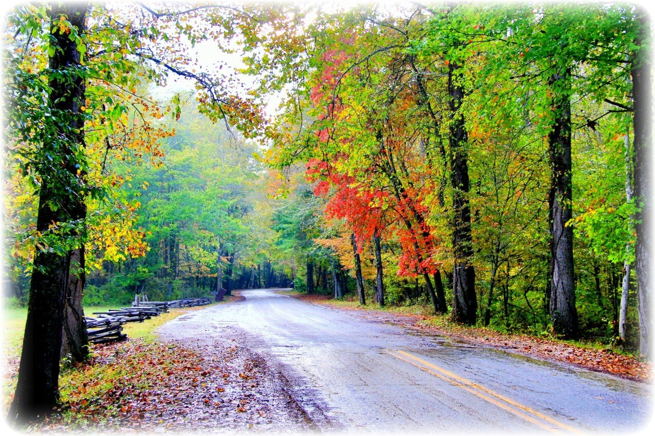 Vaya Health Network Provider Communication